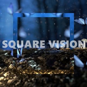 Square Vision - Airbit